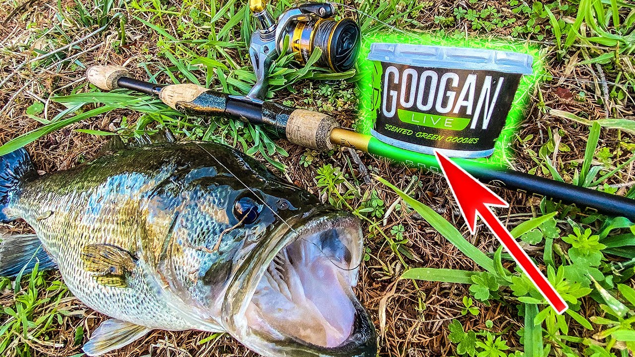 Fishing With Googans New Live Worms "Googies" - YouTube