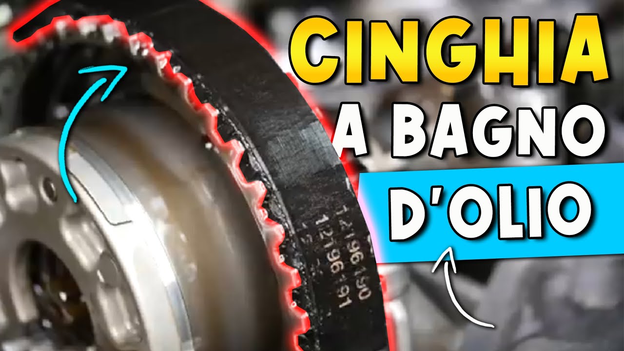 CINGHIA A BAGNO D'OLIO - SAI DI AVERLA? UN CANCRO PER IL MOTORE - YouTube