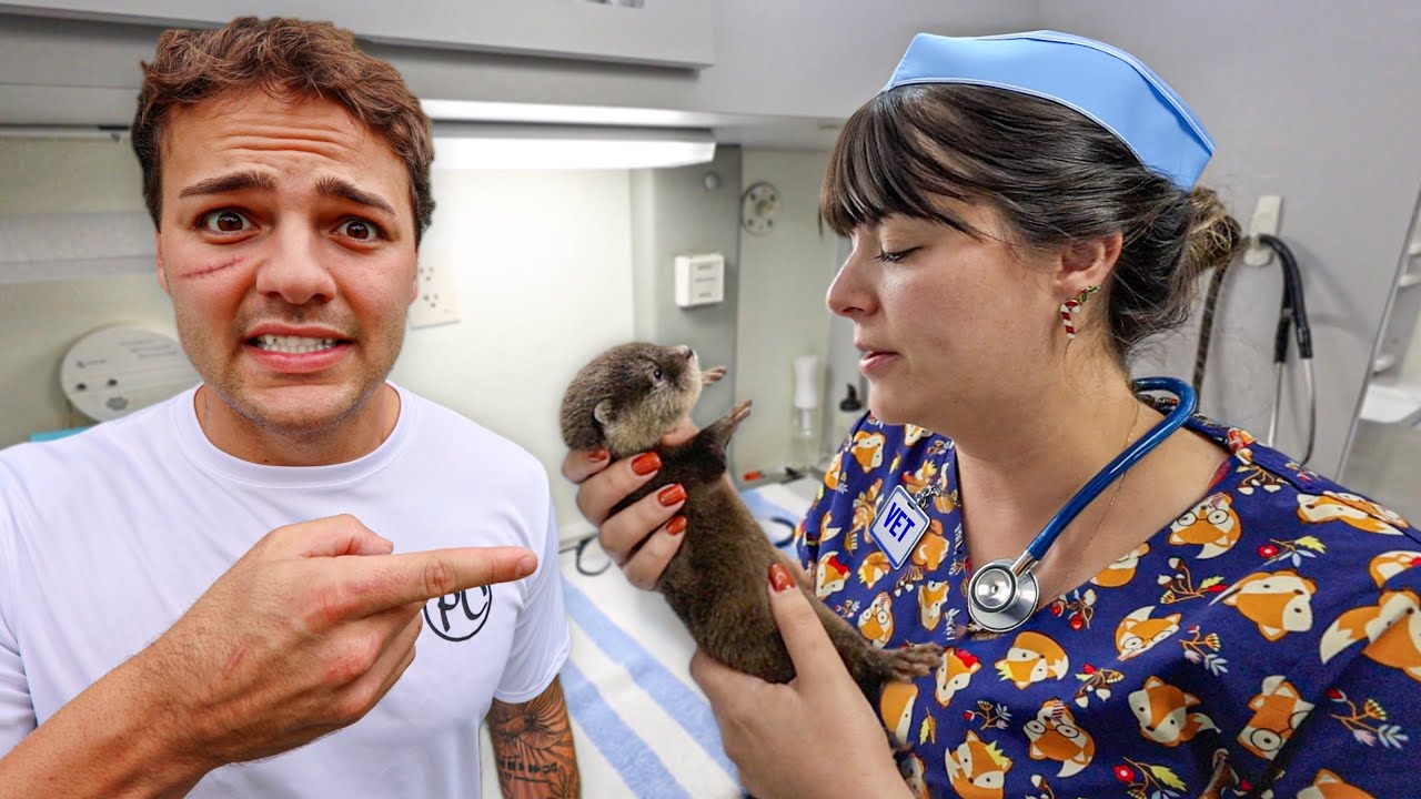 My BABY OTTER went to the VET… - YouTube
