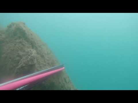 kısa ve serin Levrek avım   2022