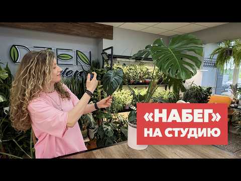 Studio Raid » Plant Inspection and Status Update » July 2026