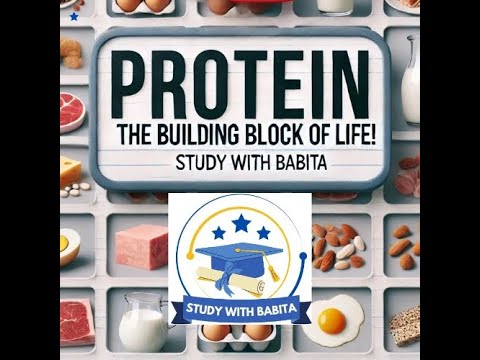 Protein [:The Building Block of Life Easy Explanation for Students] # ...