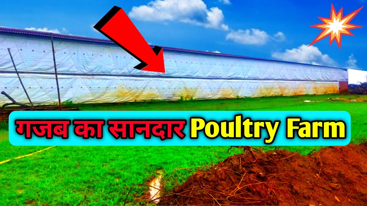 Gajab Ka Shandar Poultry Farm | How To Make Poultry Farm | Double Floor ...