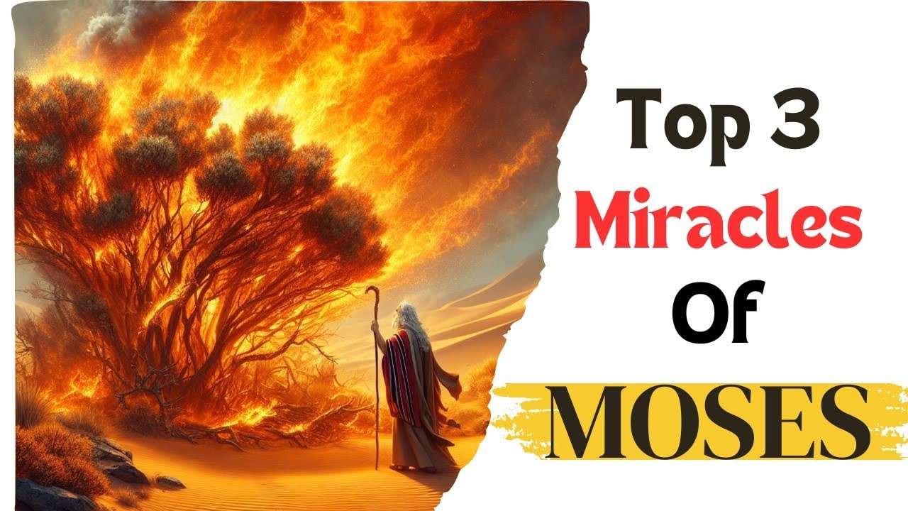 Top 3 Miracles Of Moses - With Complete Biblical References - Must ...