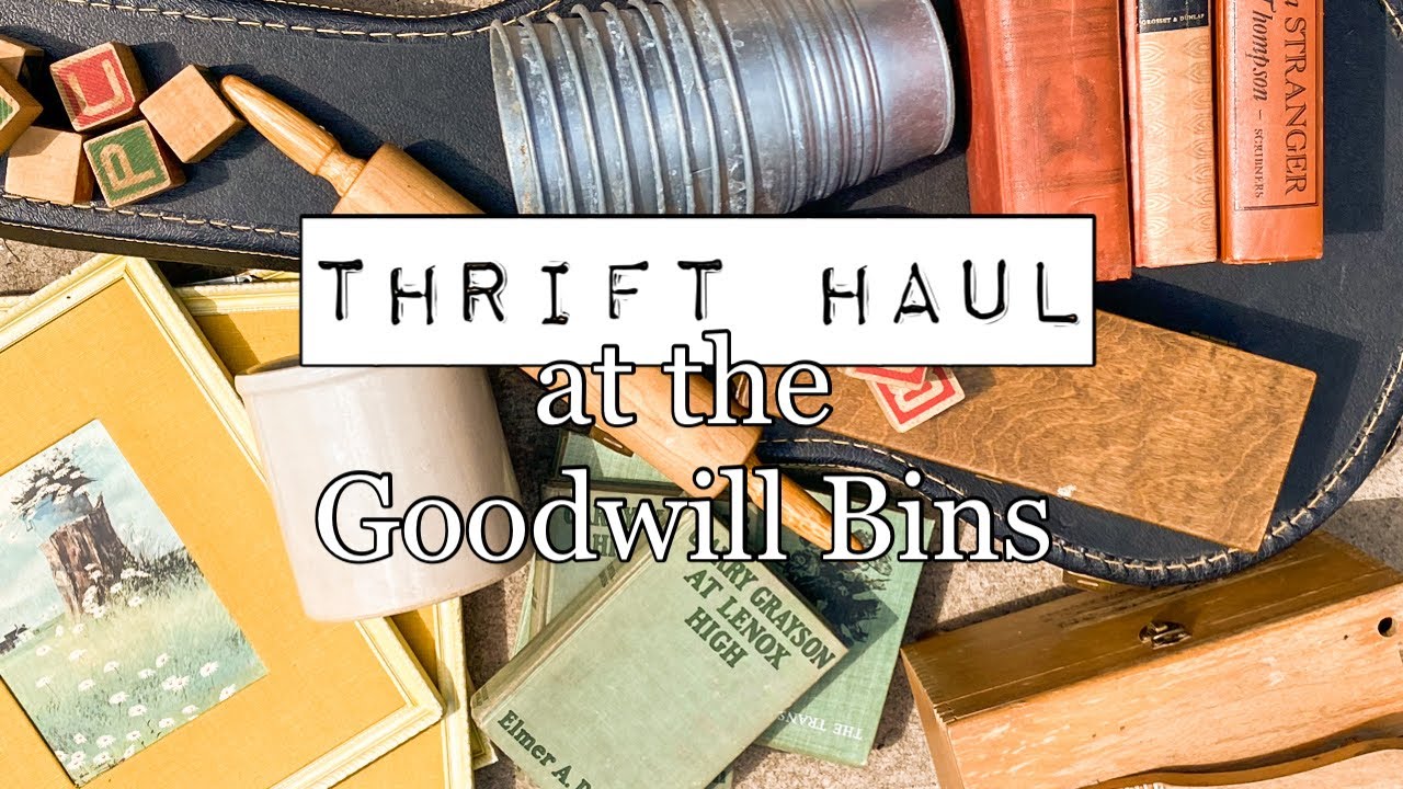 Thrift Haul - What I found at the Goodwill Bins - Vintage Finds to ...