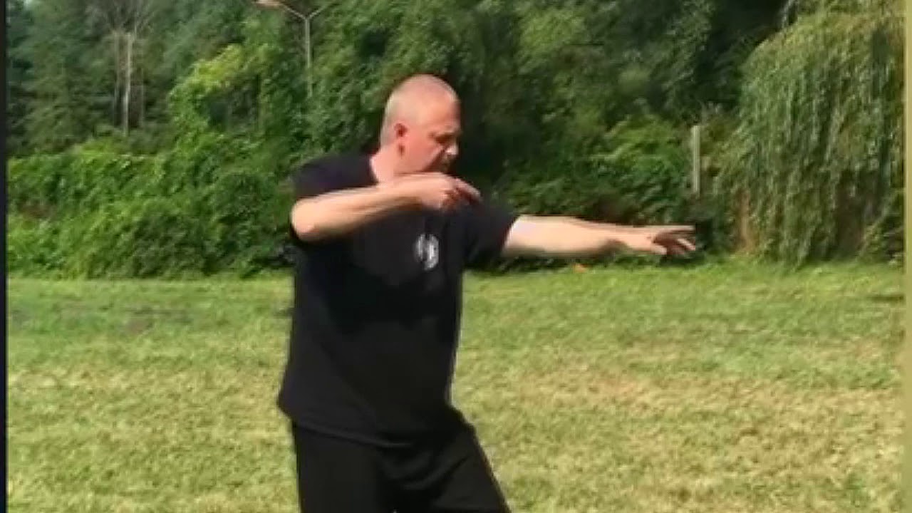 Chen Tai Ji 48 Steps Form - YouTube