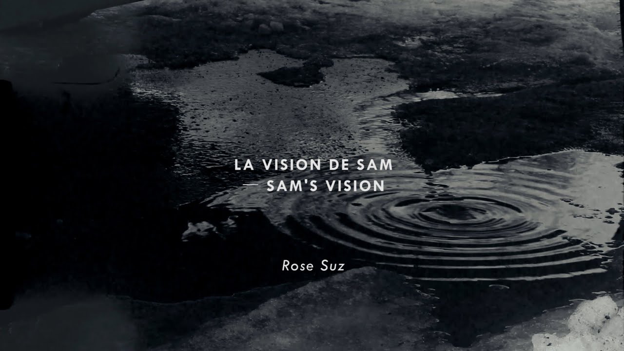 Portrait: La Vision de Sam (Sam's Vision) by Rose SuZ (2023) - YouTube