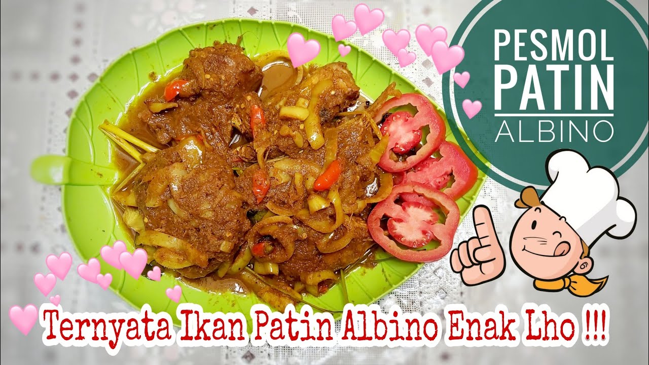 PESMOL IKAN PATIN ALBINO - YouTube