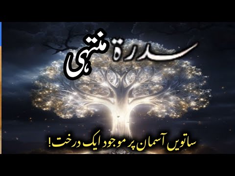 Sidratul Muntaha kya hai | Tree on 7th sky| Sidra tul muntaha and ...