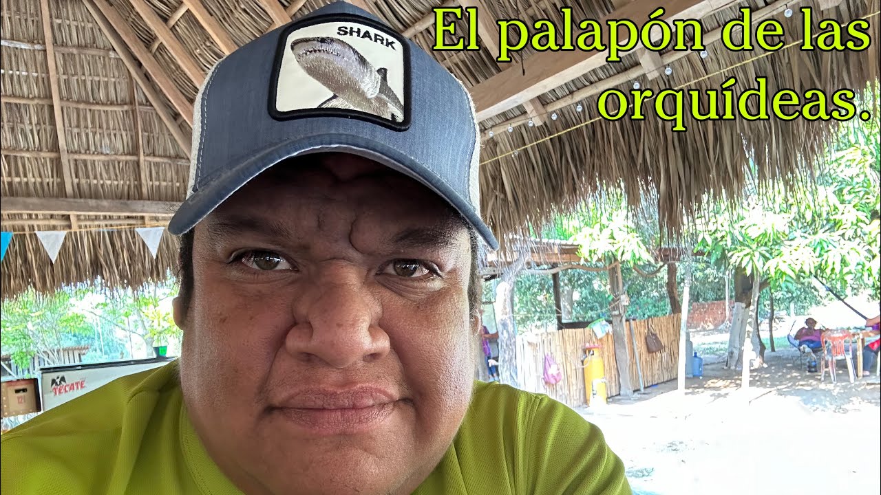 El tibu recomienda El palapón de las orquídeas. - YouTube