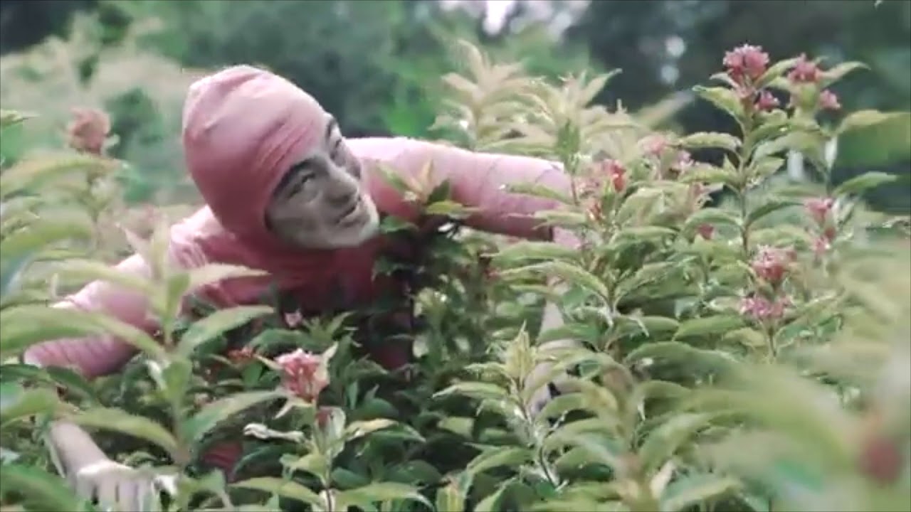 Filthy Frank - STFU (BeST CLEAN VERSION) - YouTube