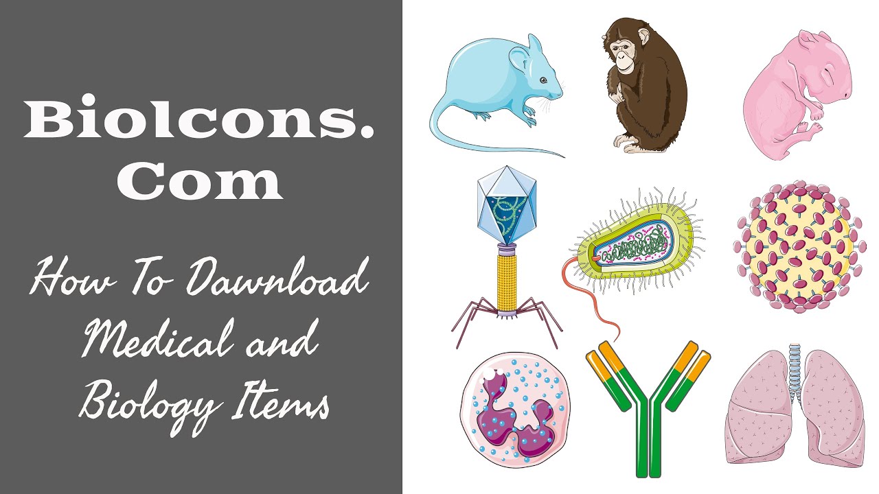 Navigate BioIcons.com to download Biology Icons - YouTube