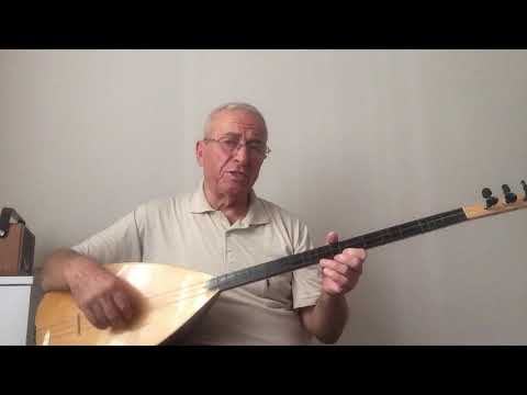 AKLIM FİKRİM ZAY EYLEDİ