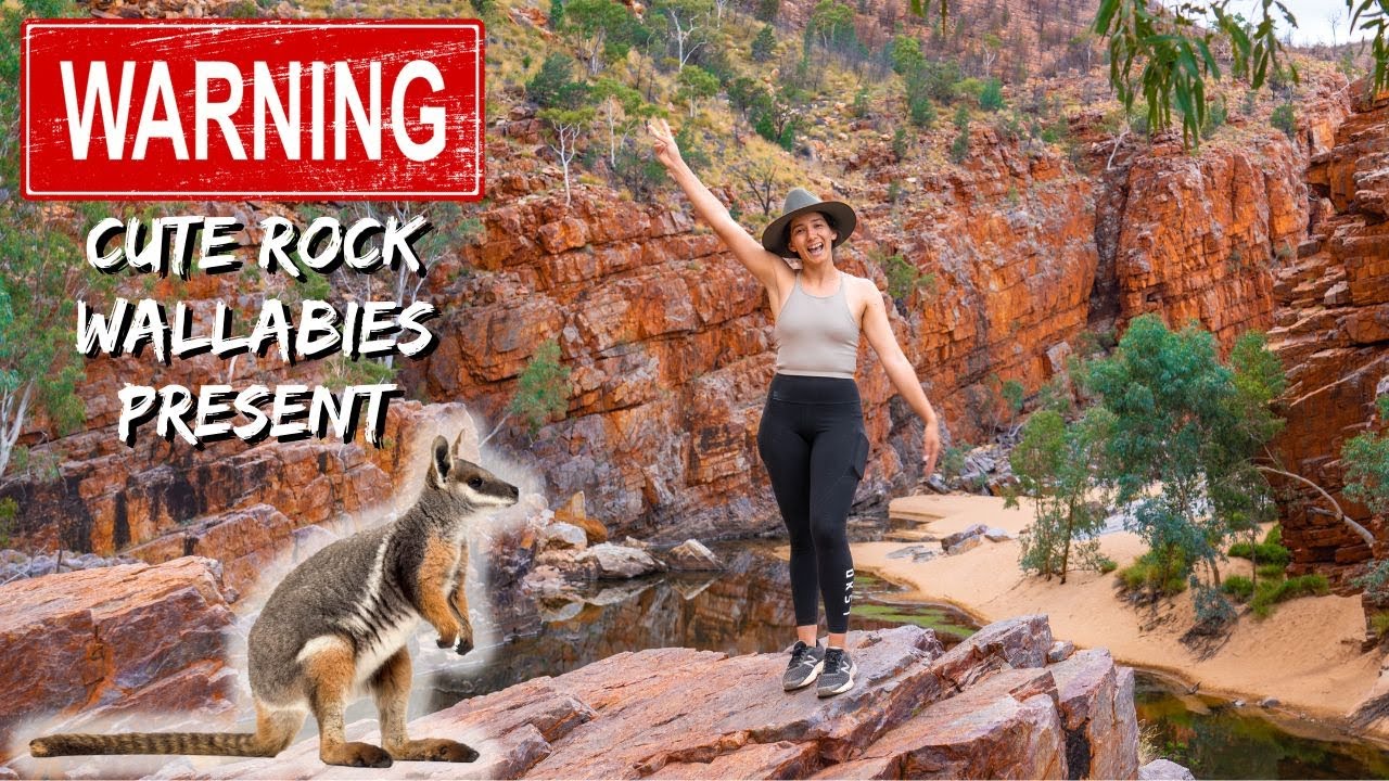 48 HOURS IN THE WEST MACDONNELL RANGES (so much wildlife) - YouTube