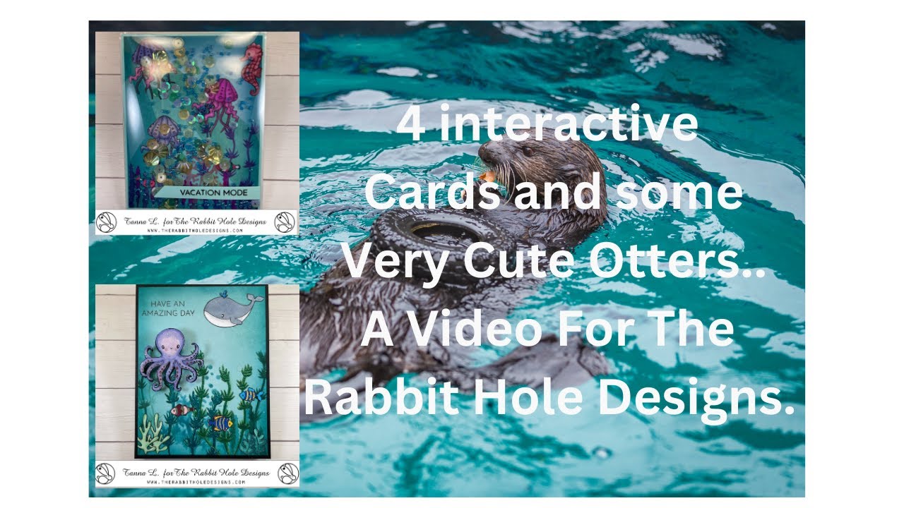 4 Interactive Cards And Some Very Cute Otters... A Video for The Rabbit ...