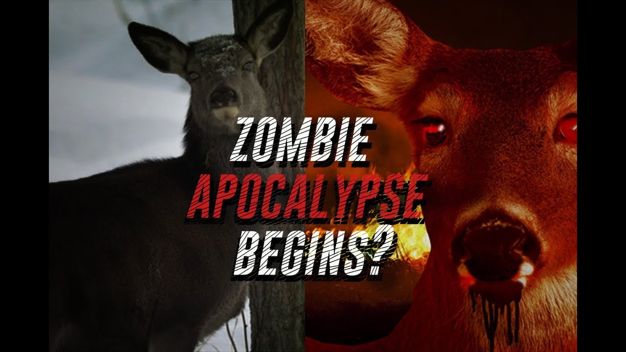 ZOMBIE DEER RECORDED IN CLEVELAND, UNITED STATES - YouTube