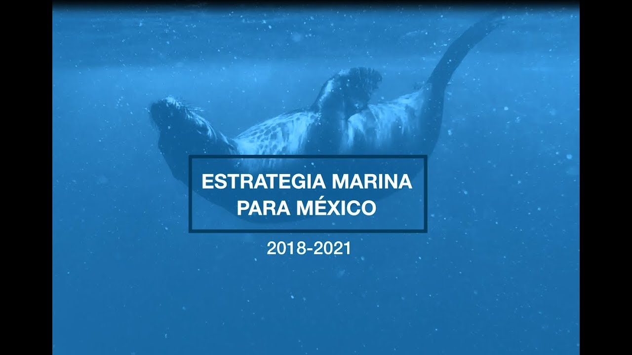 Celebrating the Seas and Coasts of Mexico - YouTube