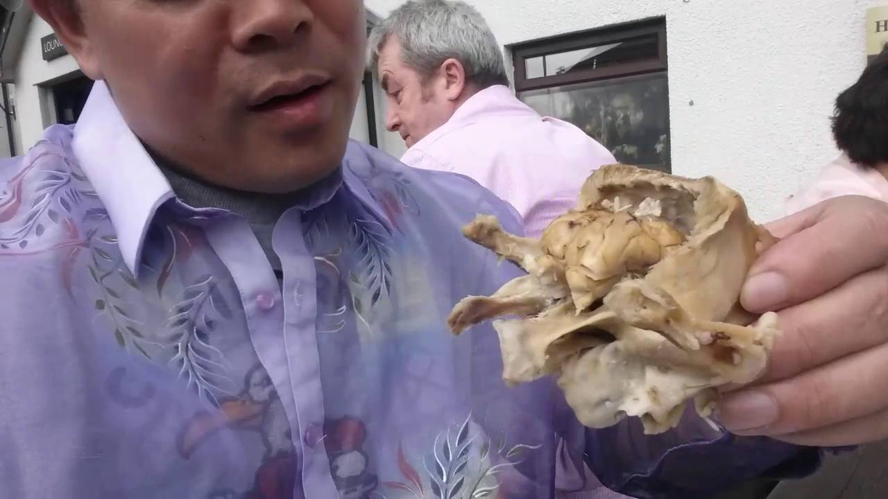 Eating pig's brain - YouTube