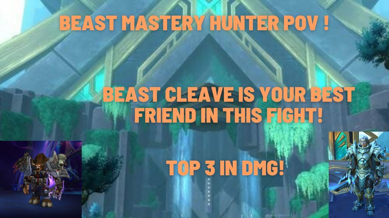 Beast Mastery Hunter Vs Anduin Wrynn! Beast CLEAVE IS YOUR BEST FRIEND ...