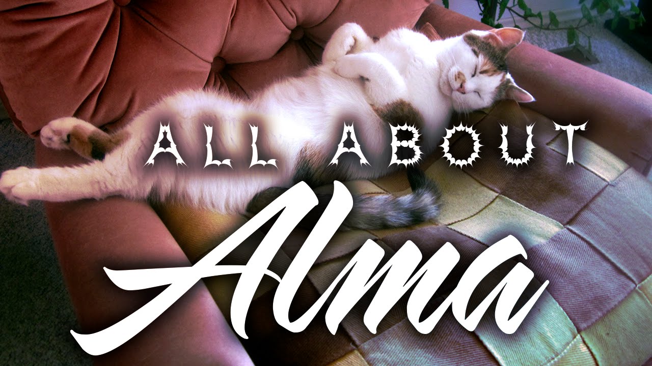 All About Alma - YouTube
