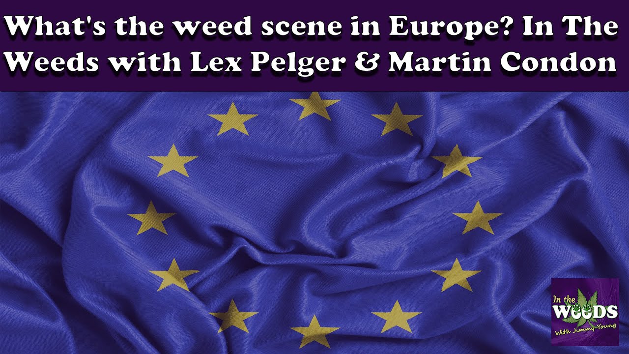What's the weed scene in Europe? In The Weeds with Lex Pelger & Martin ...