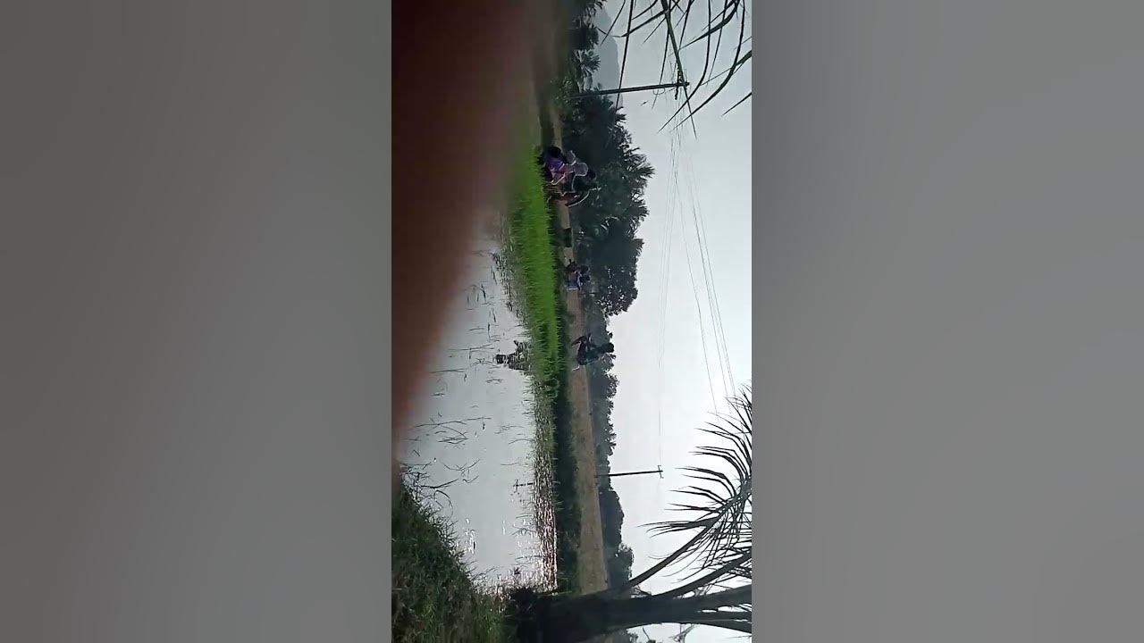 25 February 2024 - YouTube