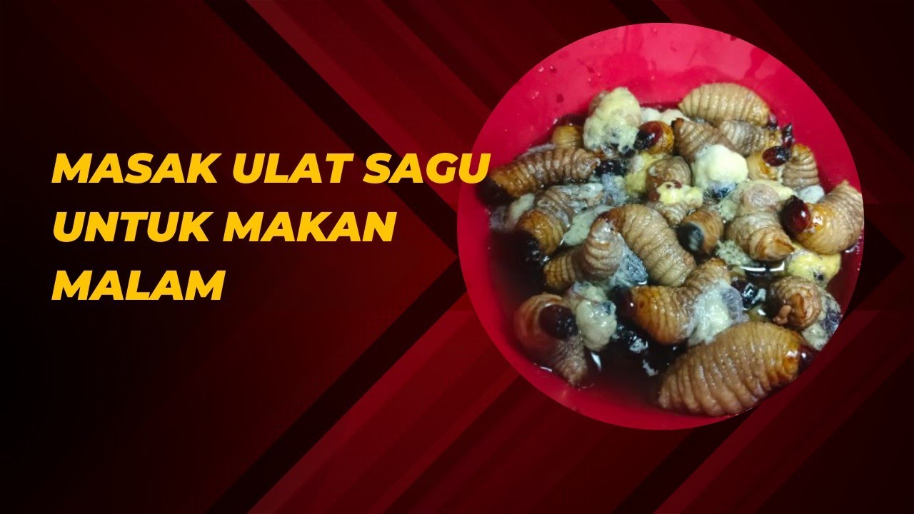 Masak ulat sagu untuk makan malam - YouTube