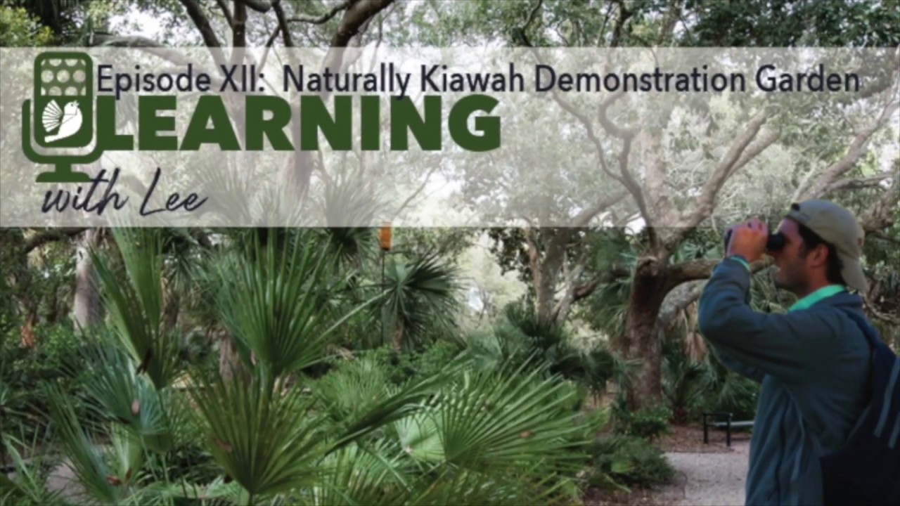 Learning with Lee: Episode XII - Naturally Kiawah Demonstration Garden ...