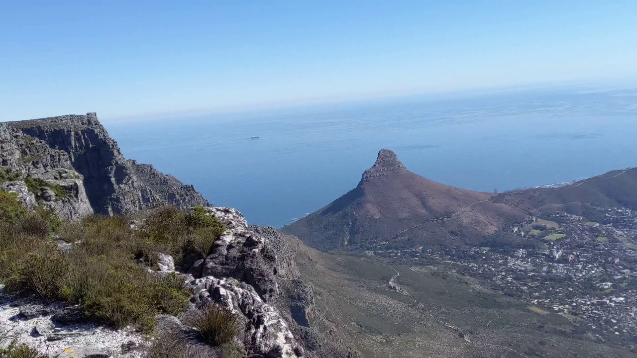 Table Mountain hike 03 lizards and birds, Cape Town, South Africa, 2019 ...