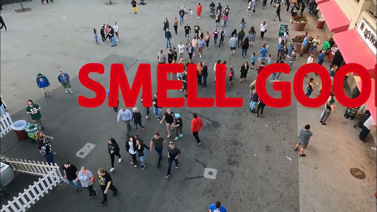 Americans Smell Good-Trailer - YouTube