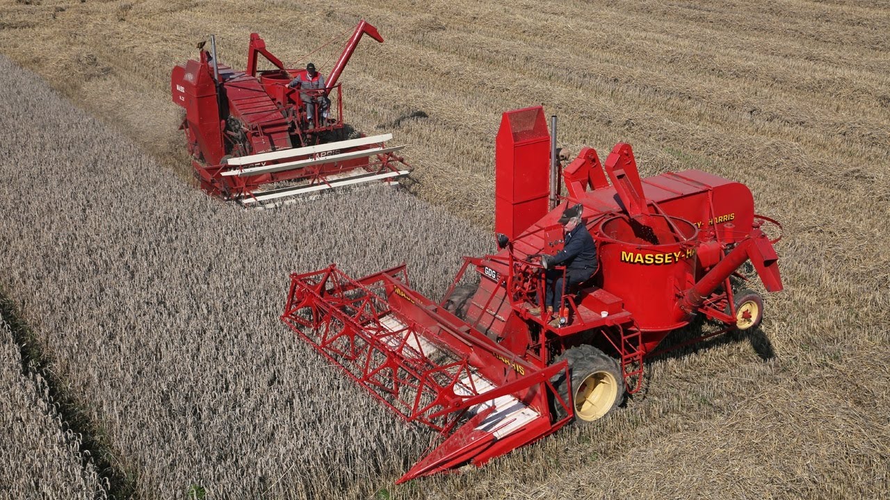 Harvesting wheat with 4x vintage 1940s Massey Harris 21 combines | The ...