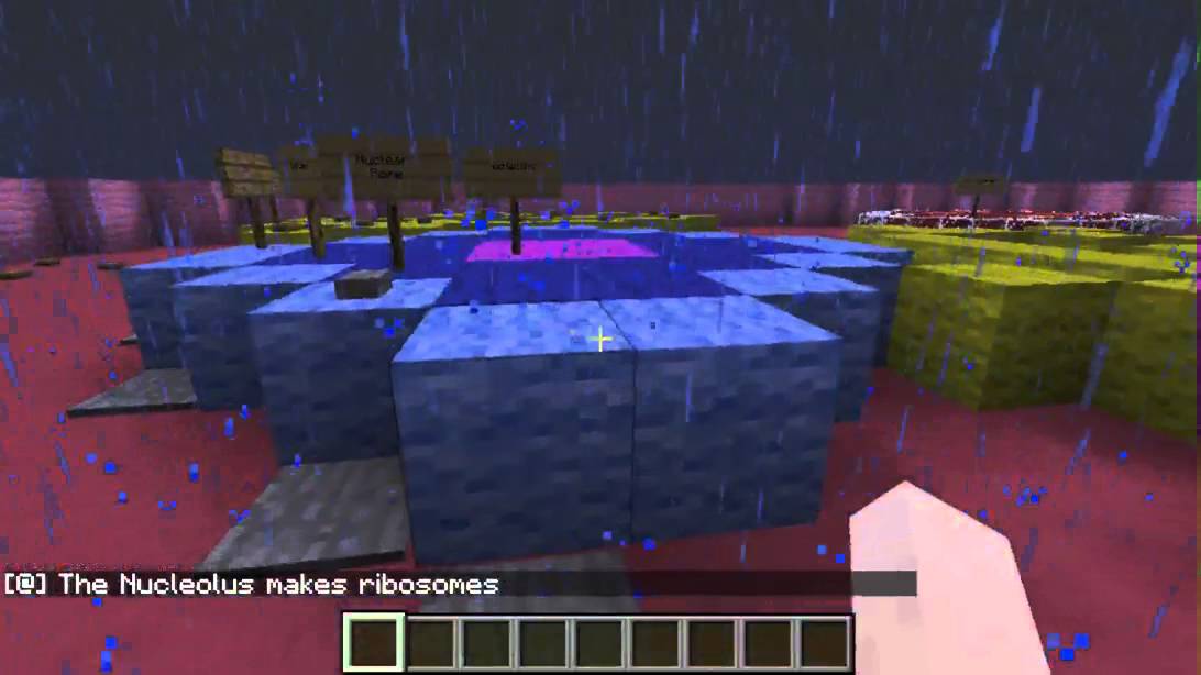 MINECRAFT CELL MODEL - YouTube