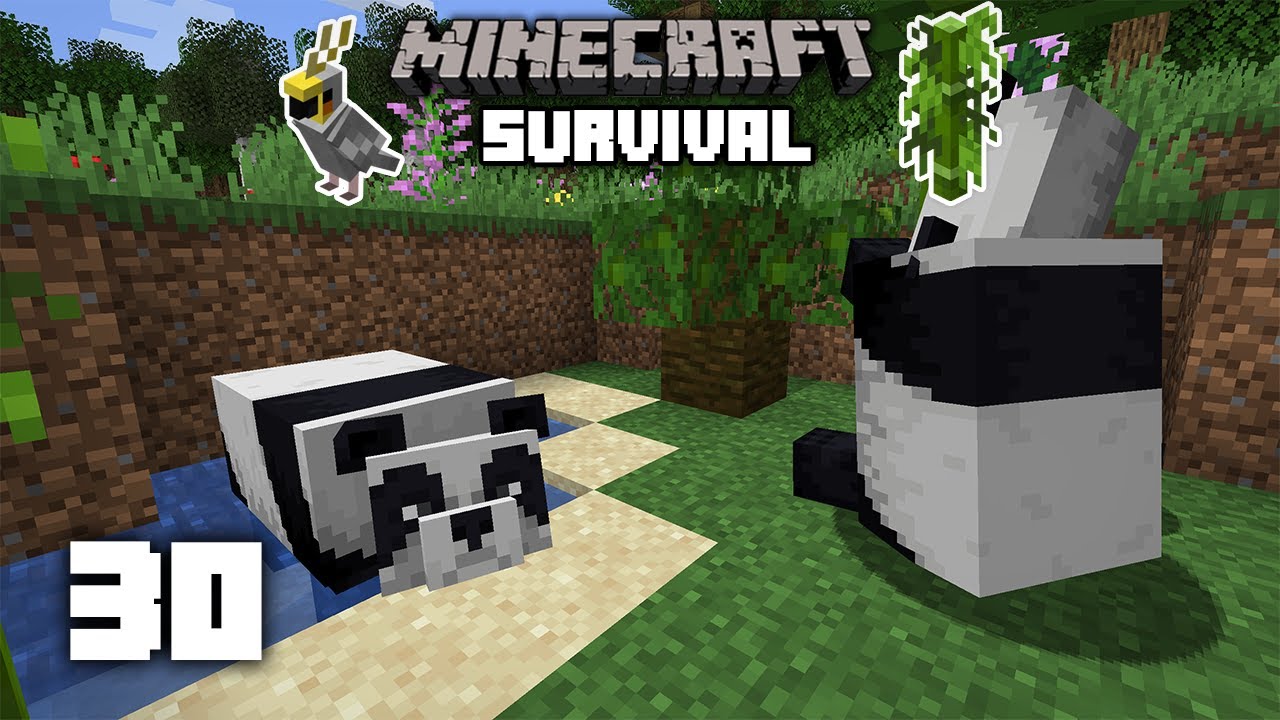 Minecraft: Pandas and Parrots! - 1.16 Survival Let's play | Ep 30 - YouTube