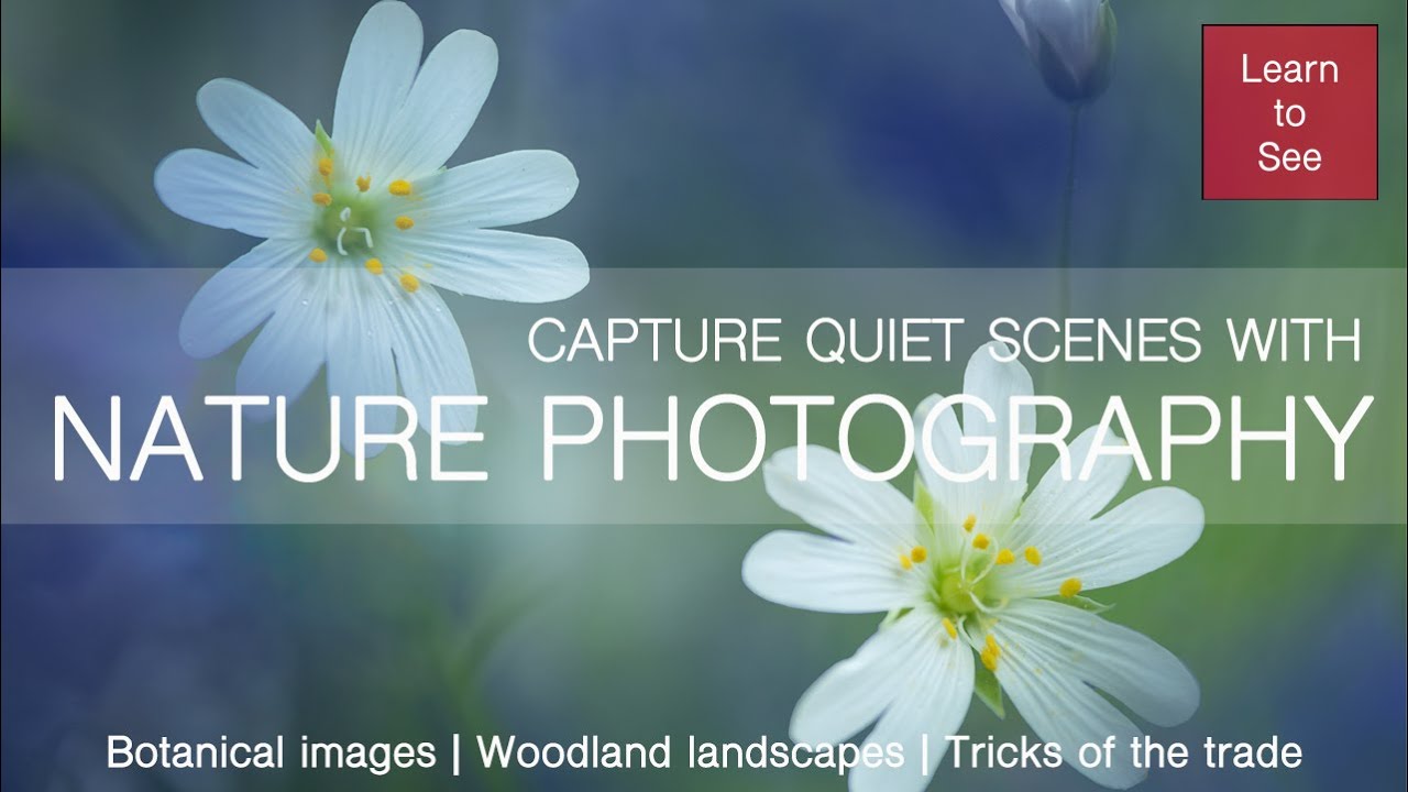 Join Me and Capture Quiet Scenes with Nature Photography - YouTube