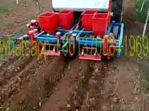 Four-Row Peanut Seeds|Groundnut Seeds Planter|Planting Machine Working ...