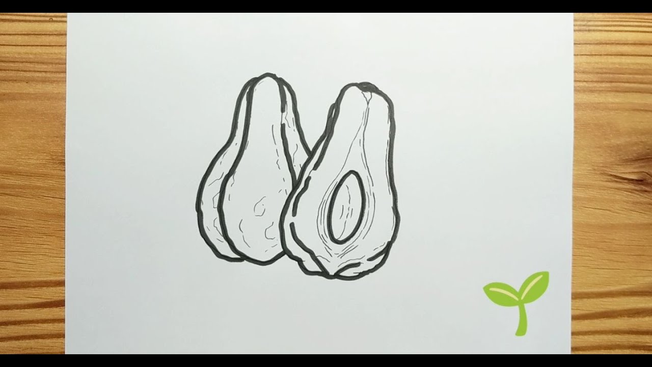HOW TO DRAW A CHAYOTE - YouTube