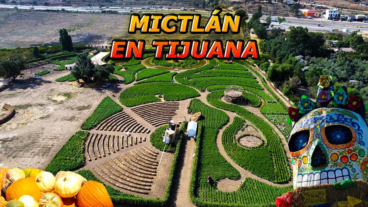 MICTLÁN En Tijuana | Abre Al Público | Cultura Y Tradición 🇲🇽 - YouTube