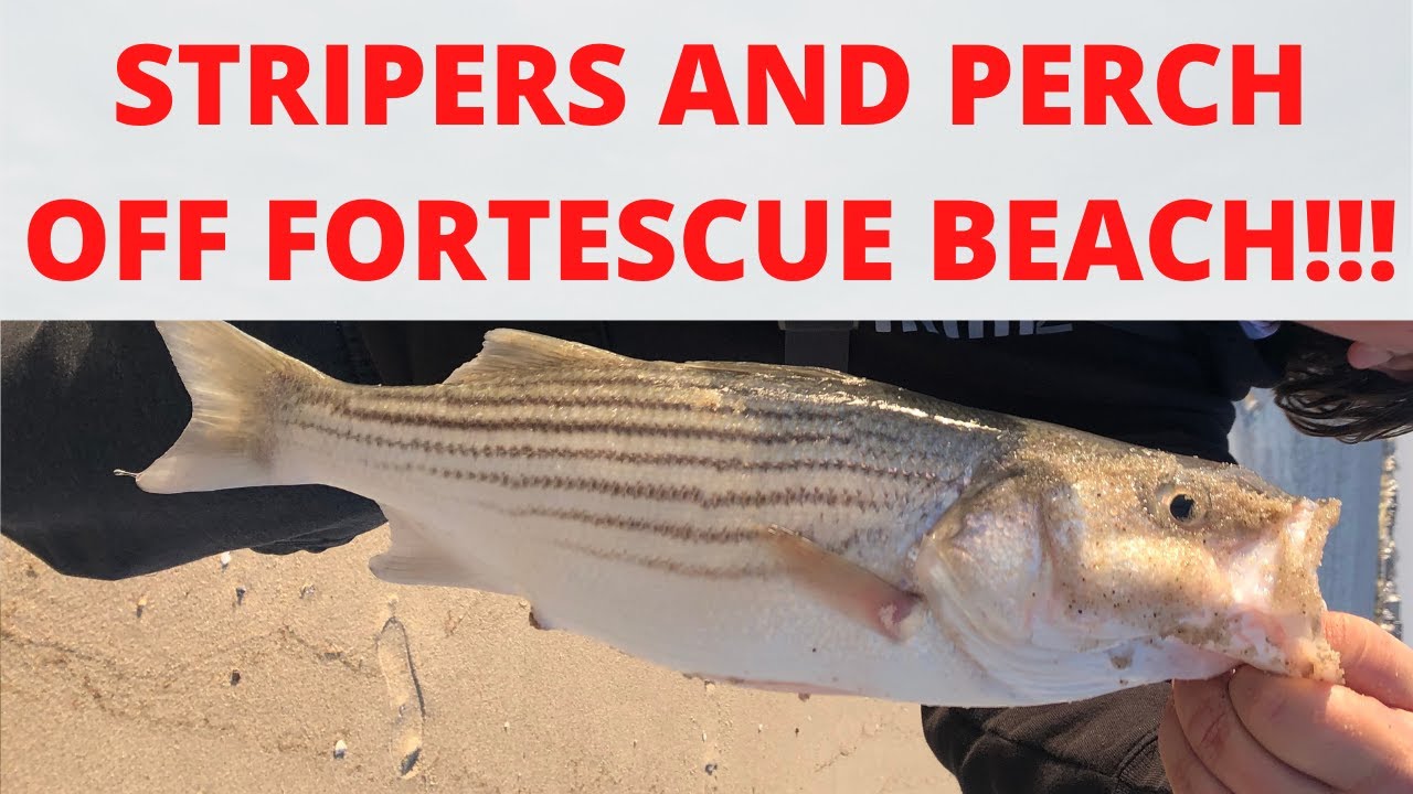 Fishing for Stripers and Perch off Fortescue Beach - YouTube