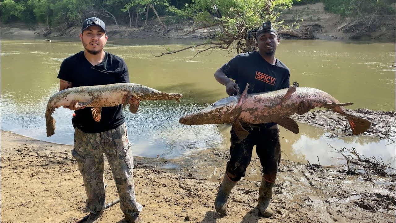 Multi Species Trinity River Adventures - YouTube