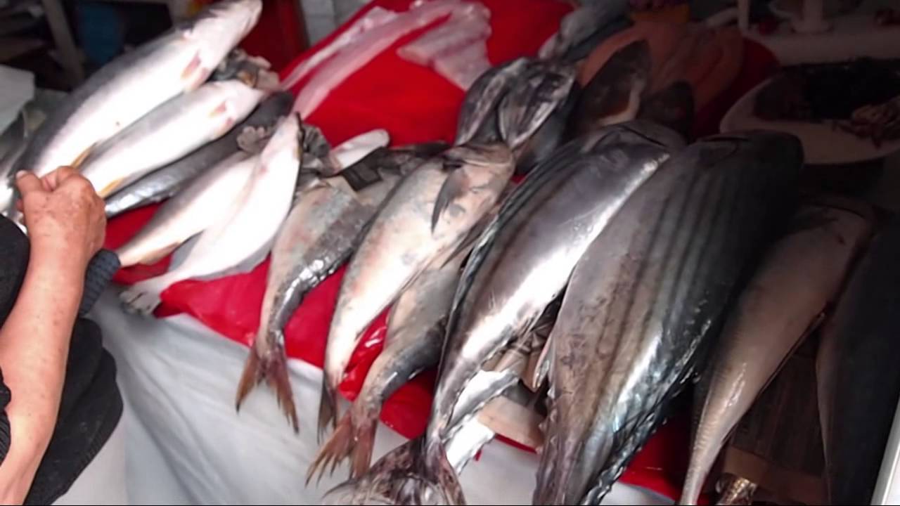 Lima fish market with Tucano Peru - YouTube