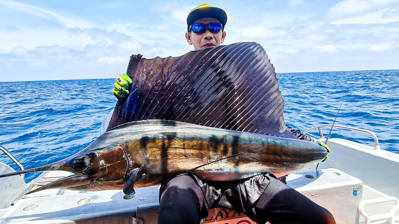 Full Strike,, Mancing Ikan Layaran Besar di Rompin, Malaysia !! Seahawk ...