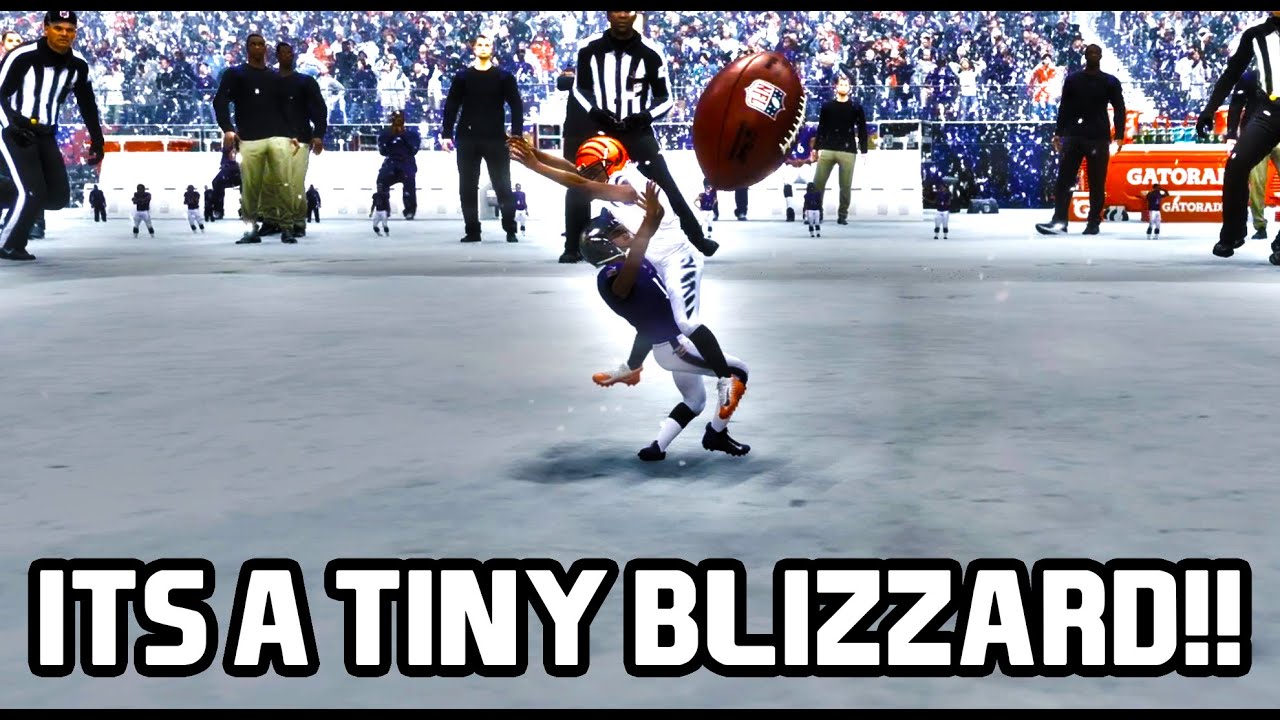 SO I ADDED AN INSANE BLIZZARD MOD TO MADDEN 24!! BUT EVERY PLAYER IS ...