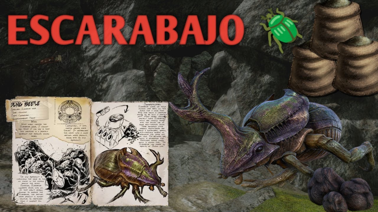 🔴TAMEO Y HABILIDADES DEL ESCARABAJO (PELOTERO) ARK MOBILE 🦖 - YouTube