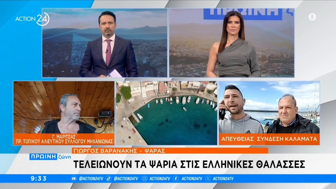 Τελειώνουν τα ψάρια στις ελληνικές θάλασσες | Πρωϊνή Ζώνη | ACTION 24 ...