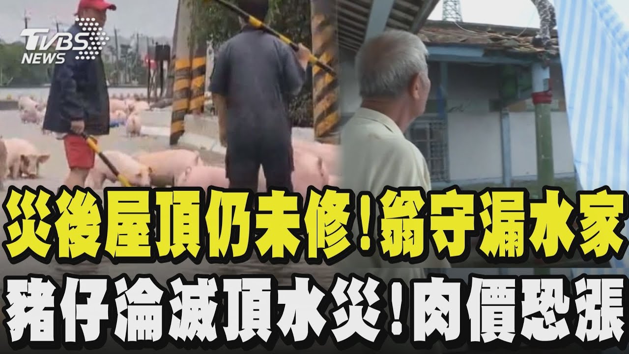 災後屋頂仍未修!又遇連夜大雨 翁守60年漏水家不離開 房屋修繕排天荒 女兒四處求援 豬仔面臨滅頂水災!民眾憂豬肉價恐漲 嘉義淹水災情未解 長輩受困靠友人送餐｜TVBS新聞@TVBSNEWS01 ...