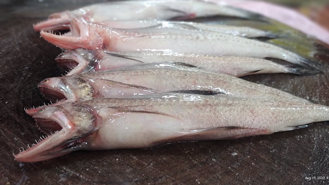Bombil ( Bombay duck ) fish cutting skills boneless - YouTube