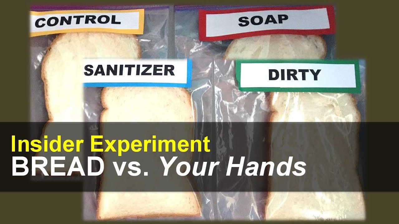 Bread vs. Your Hands | Insider Experiment | May 28, 2020 | Taiwan ...