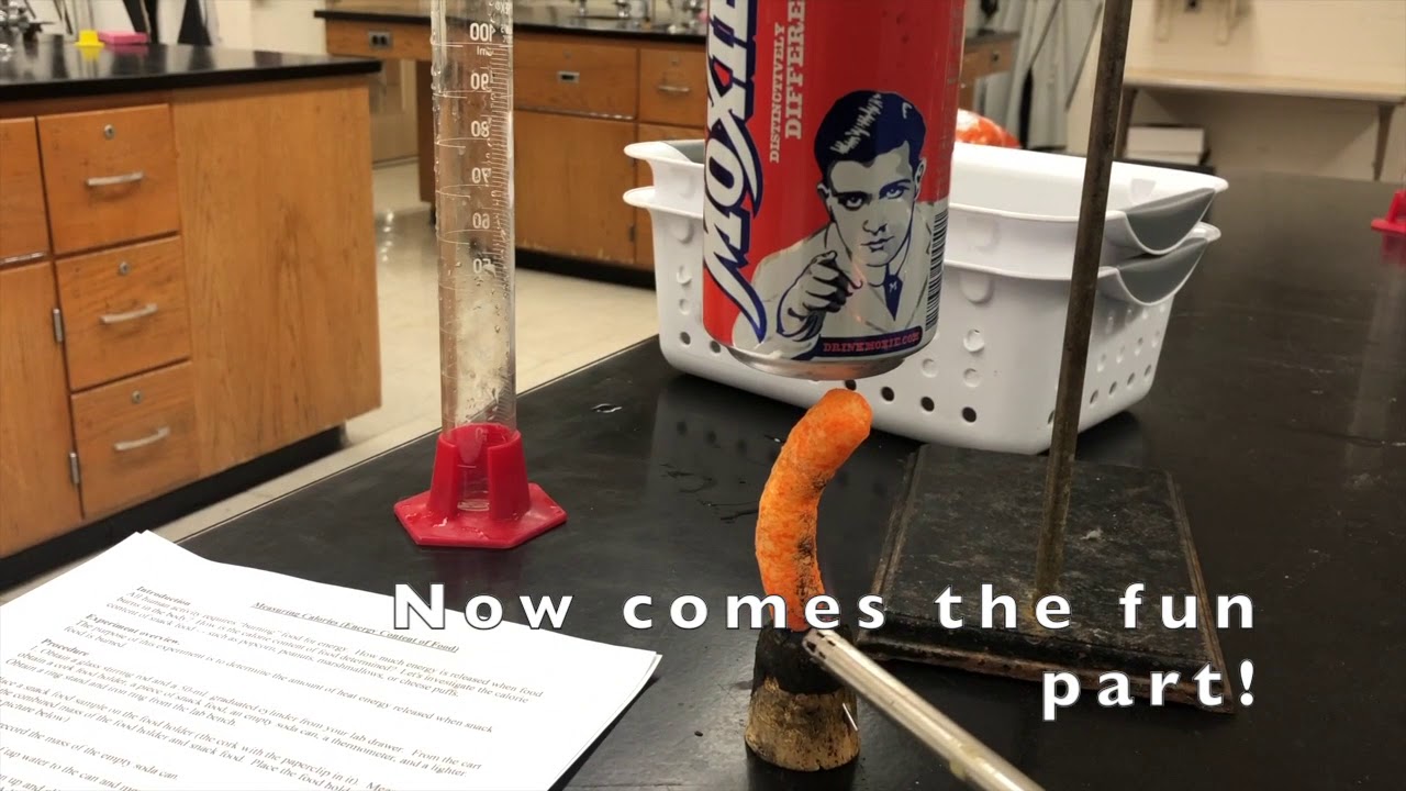 Measuring Calories (aka The Cheeto Lab) - Virtual Lab - YouTube