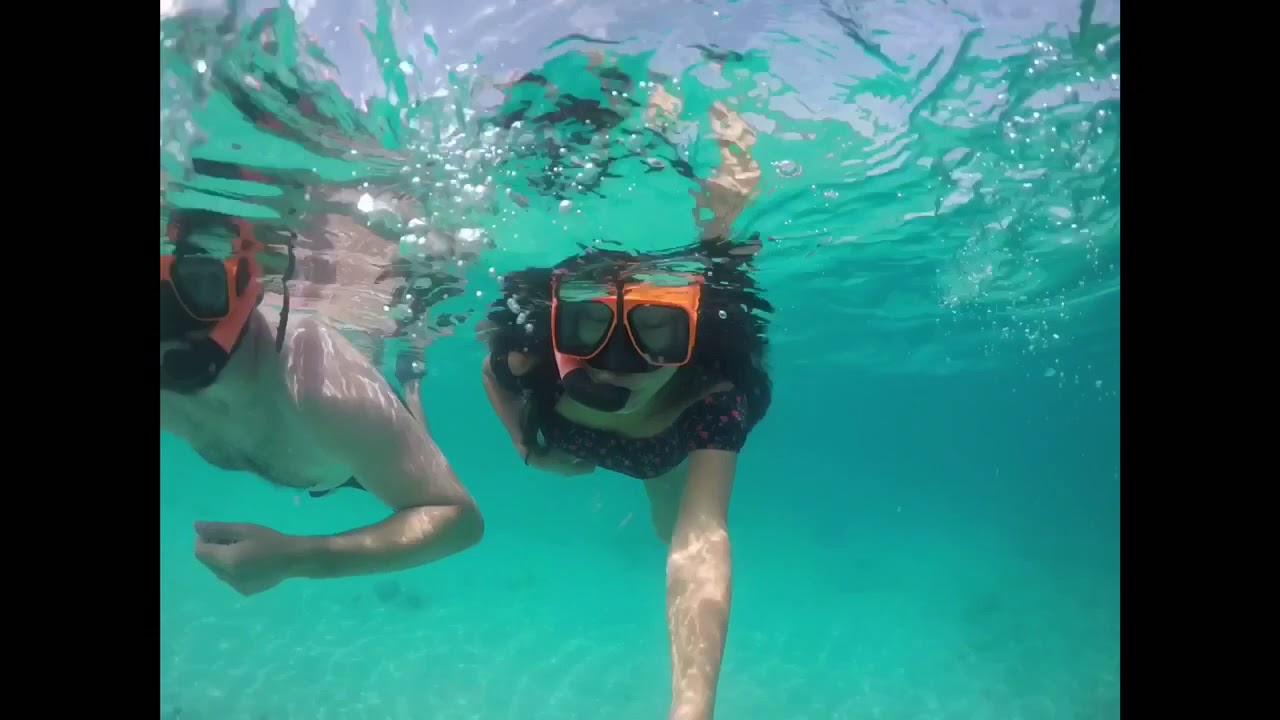 Snorkeling in the Virgin Islands - YouTube