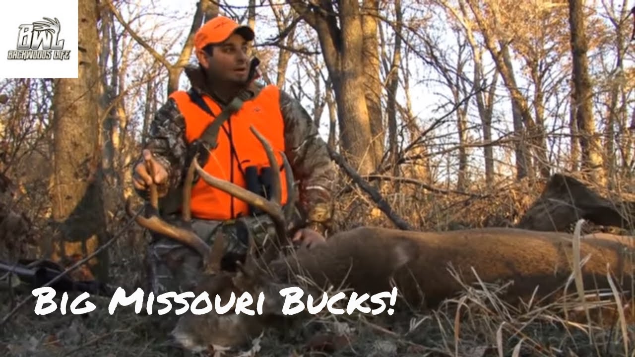 BIG MISSOURI BUCKS | BACKWOODS LIFE FULL EPISODE 9.1 - YouTube